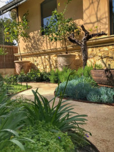 26 Modern Australian Front Yard Ideas to Transform Your Space